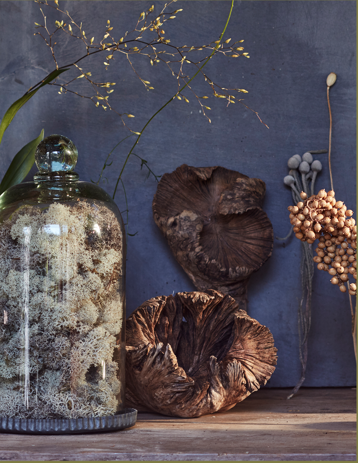 Bring Nature Indoors With Dried Botanicals