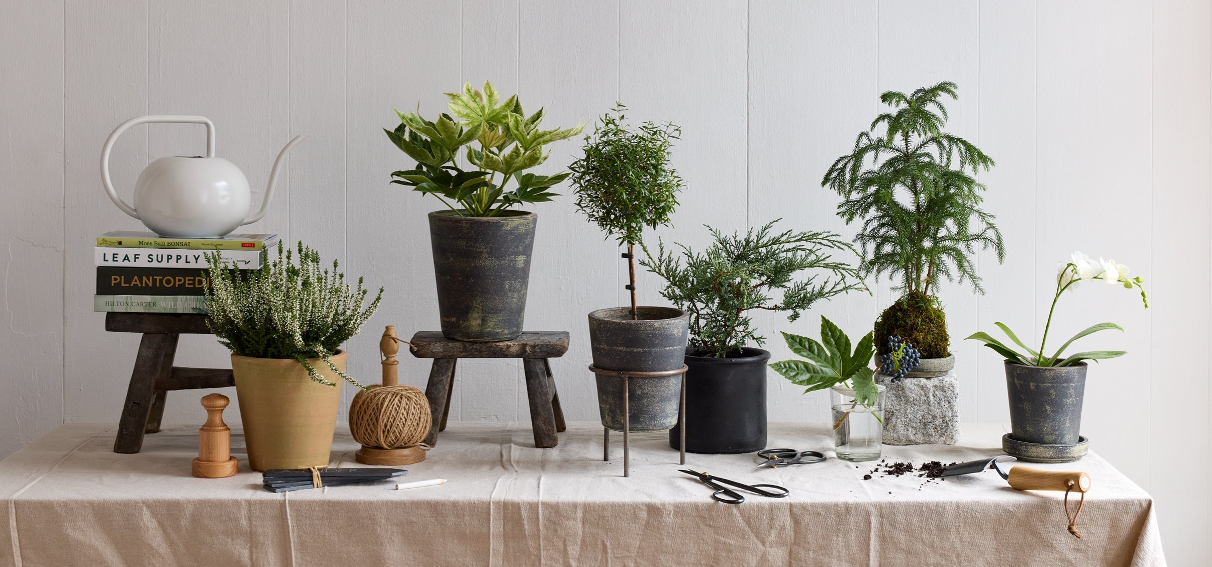 Top Gifts for Gardeners | Bloomist
