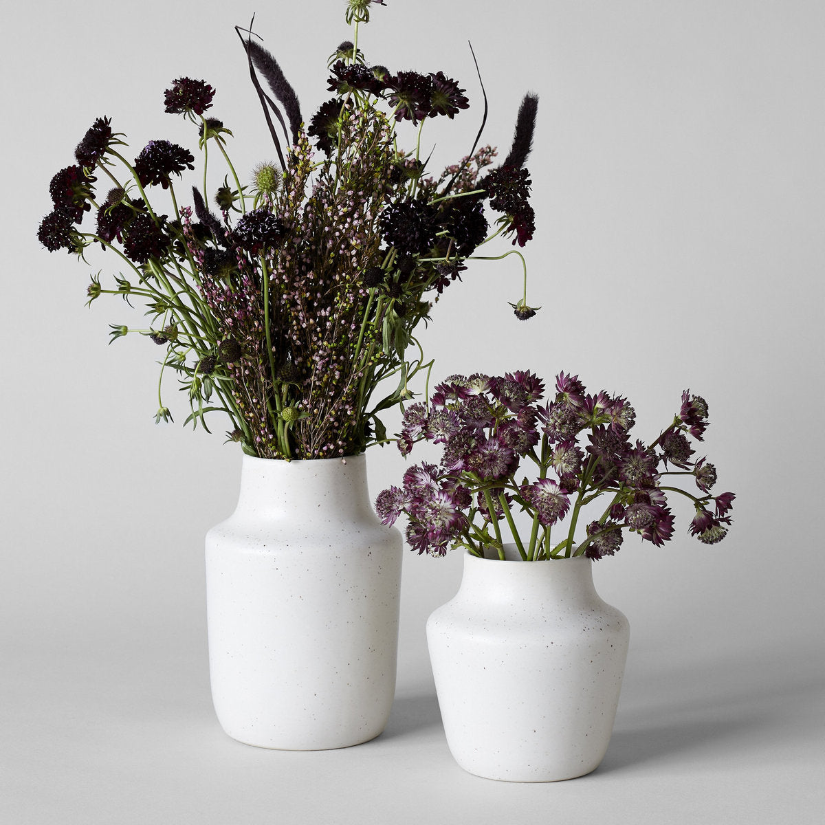 Ivory Vase | Bloomist