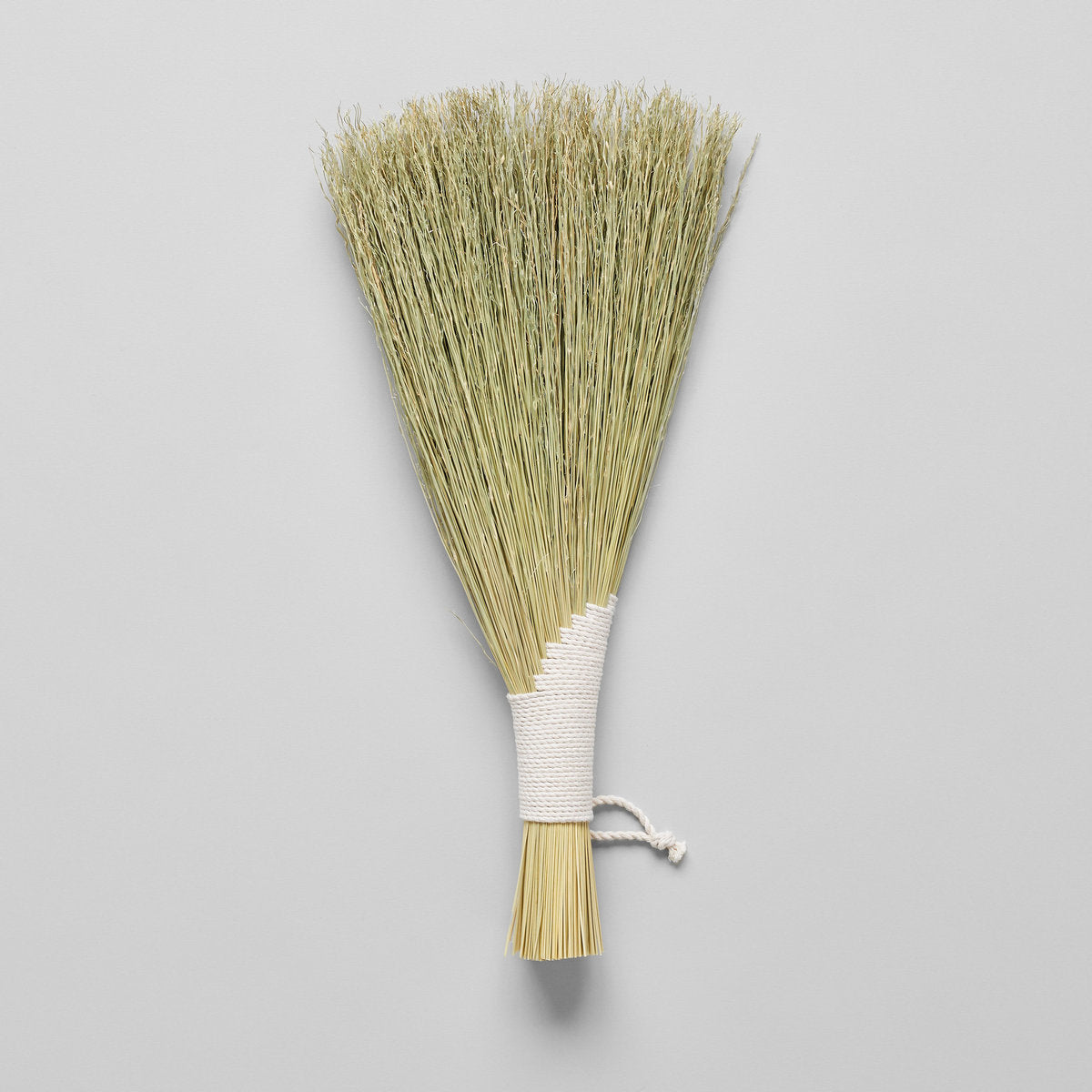 Wing Hand Broom