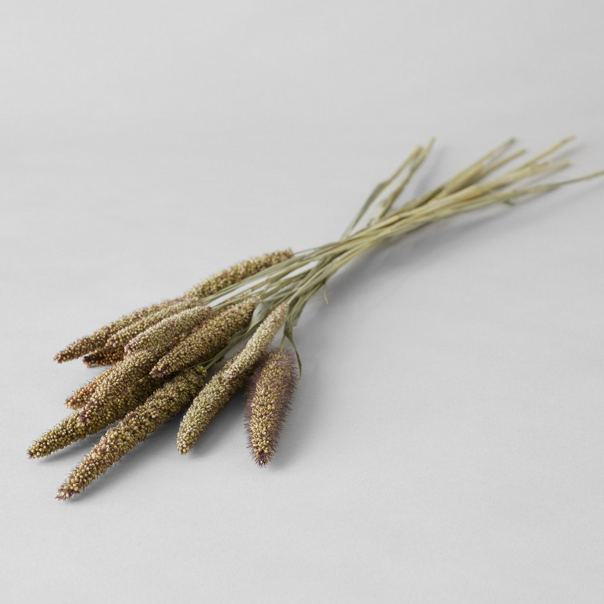 Dried China Millet | Bloomist