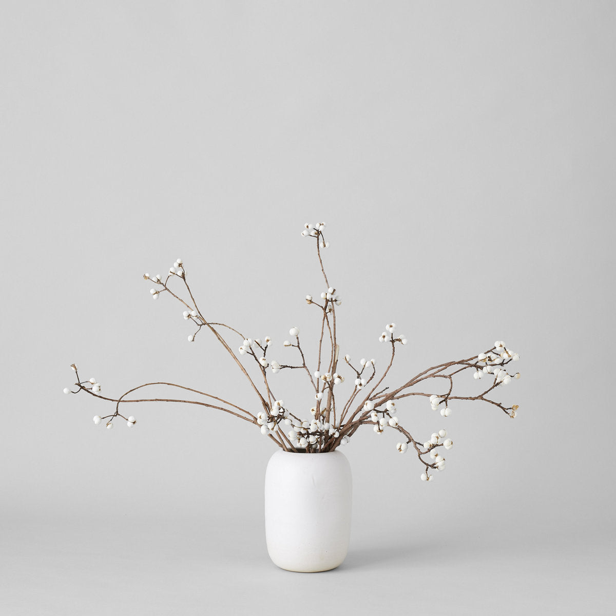 Dried Tallow Berry Branches | Bloomist