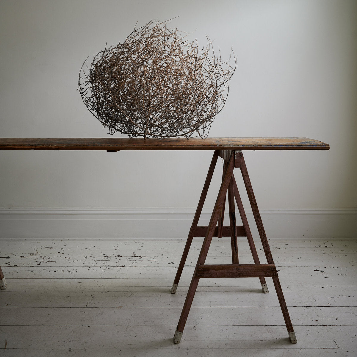 Dried Tumbleweed For Use as Room Decor | Bloomist
