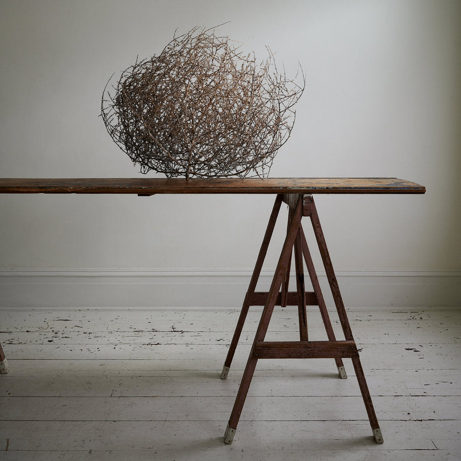 Foraging For Beginners