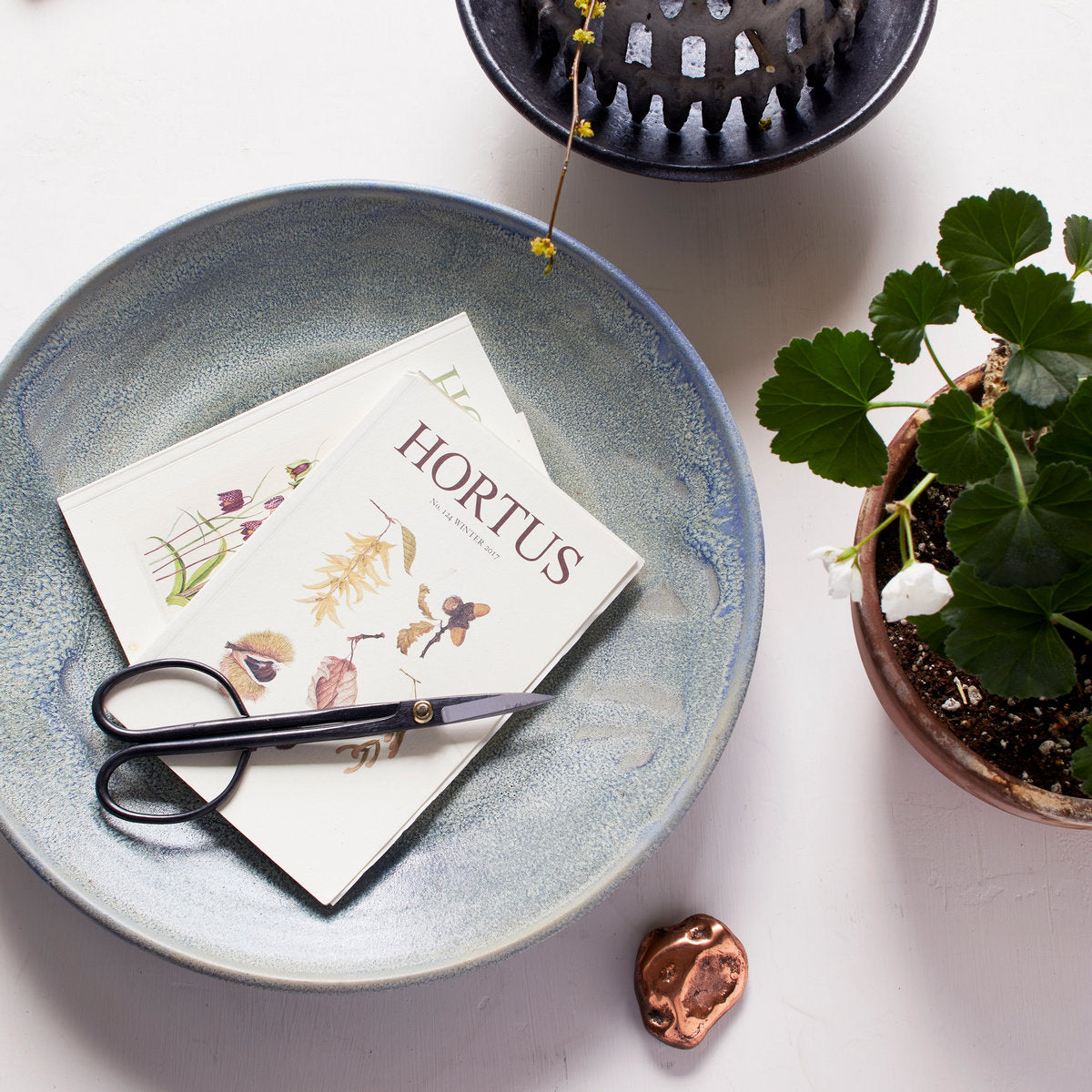 Floral Scissors | Bloomist