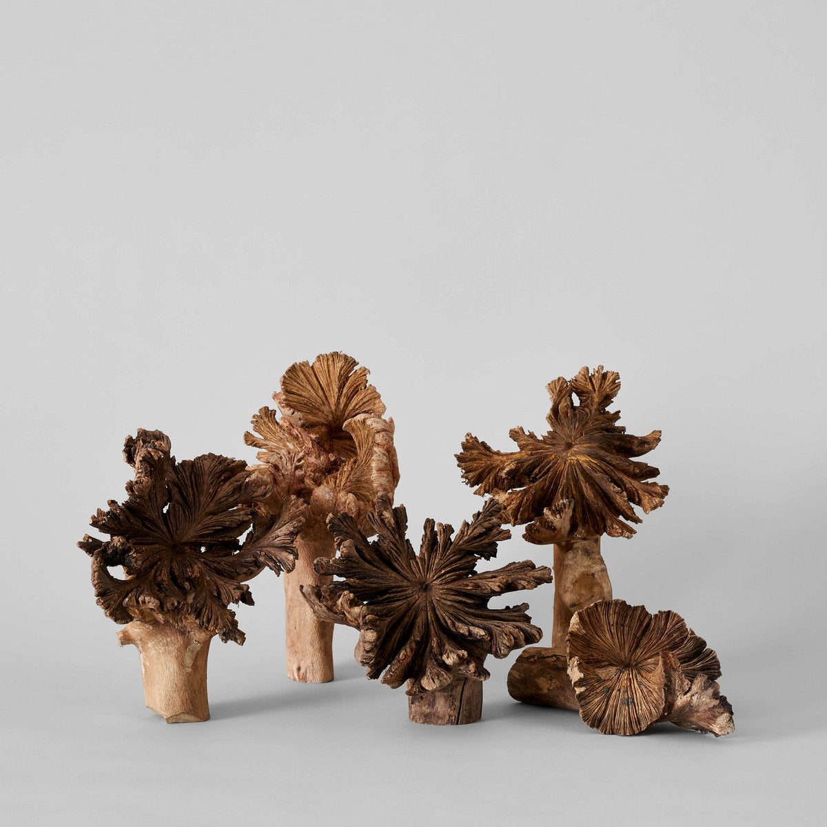 Handmade Wood Flower | Bloomist