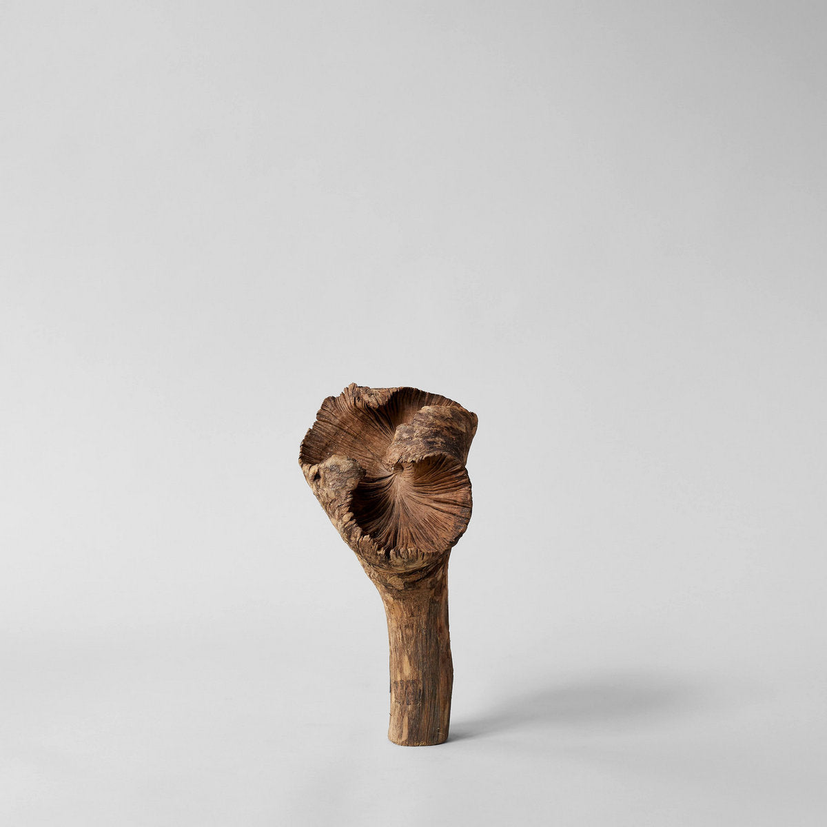 Handmade Wood Flower | Bloomist