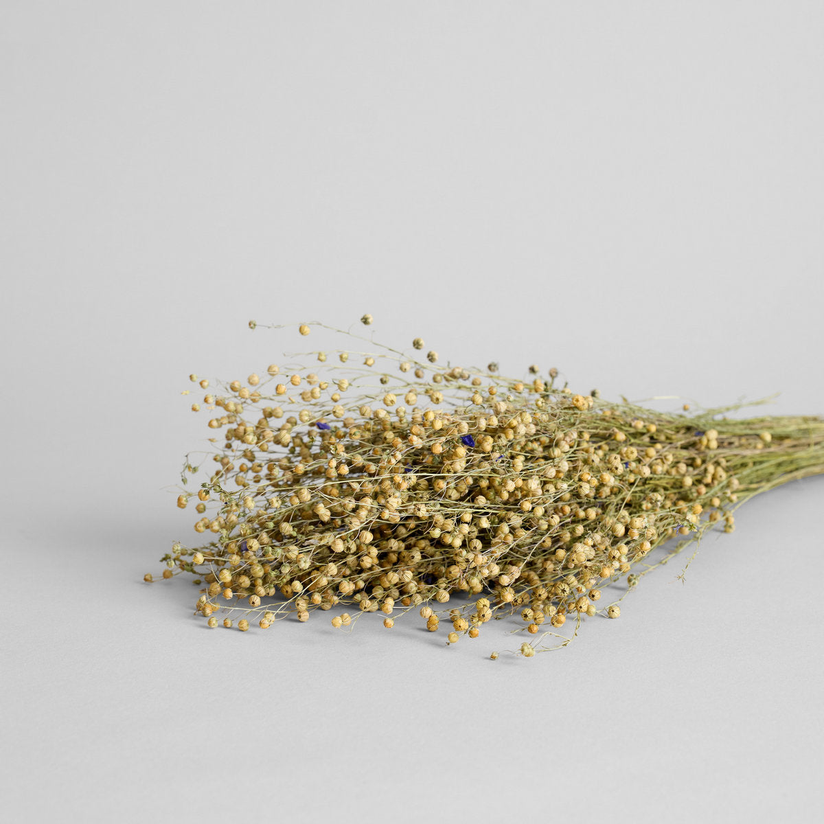Dried Flax