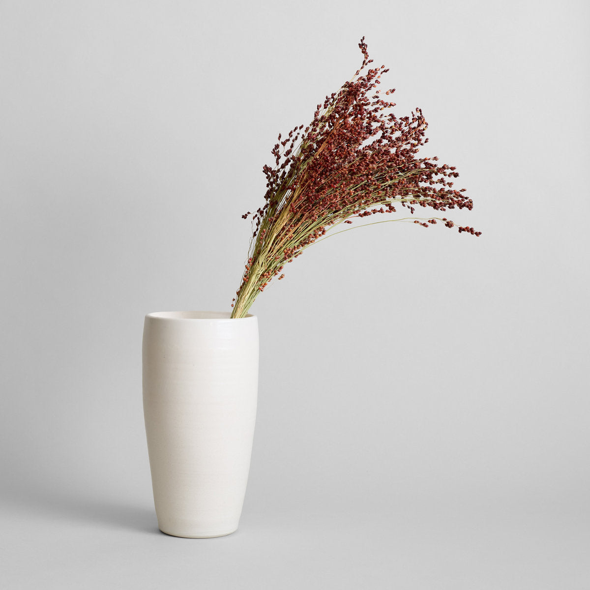 Dried Red Broom Corn