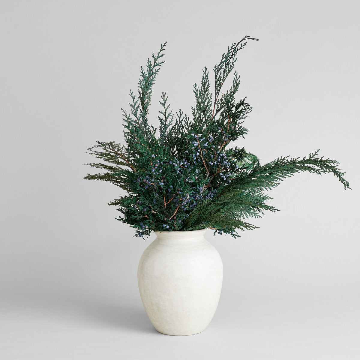 Preserved Juniper With Berries
