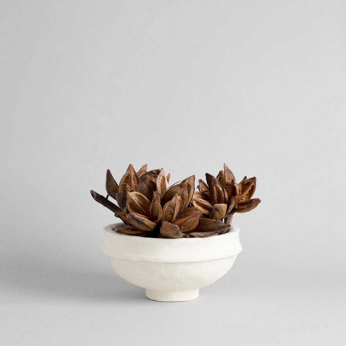 Dried Natural Star Pods