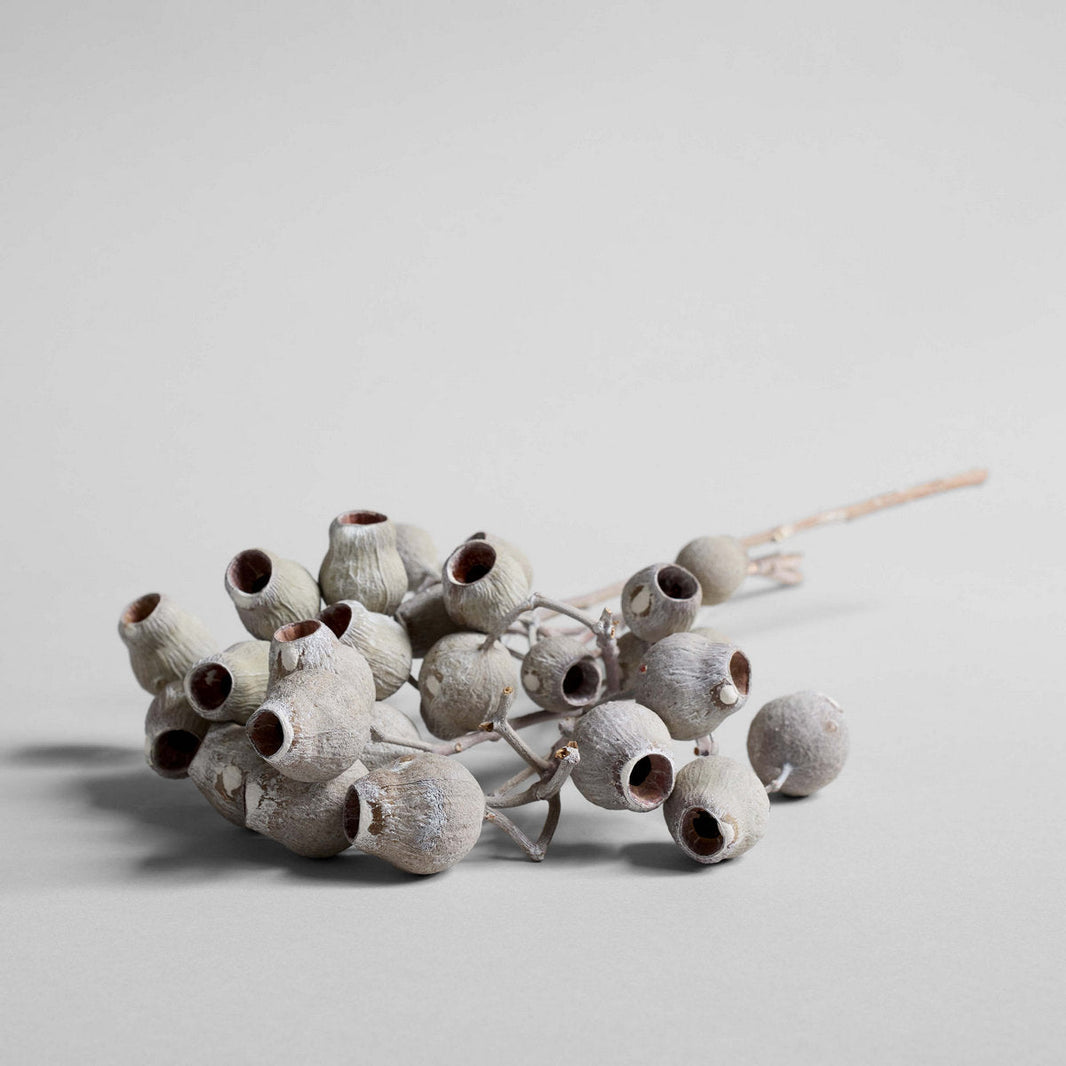 decorating with dried flowers