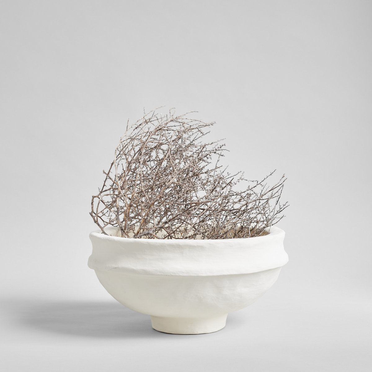 Dried Tumbleweed For Use as Room Decor | Bloomist