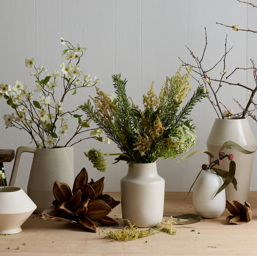 Dried Natural Star Pods