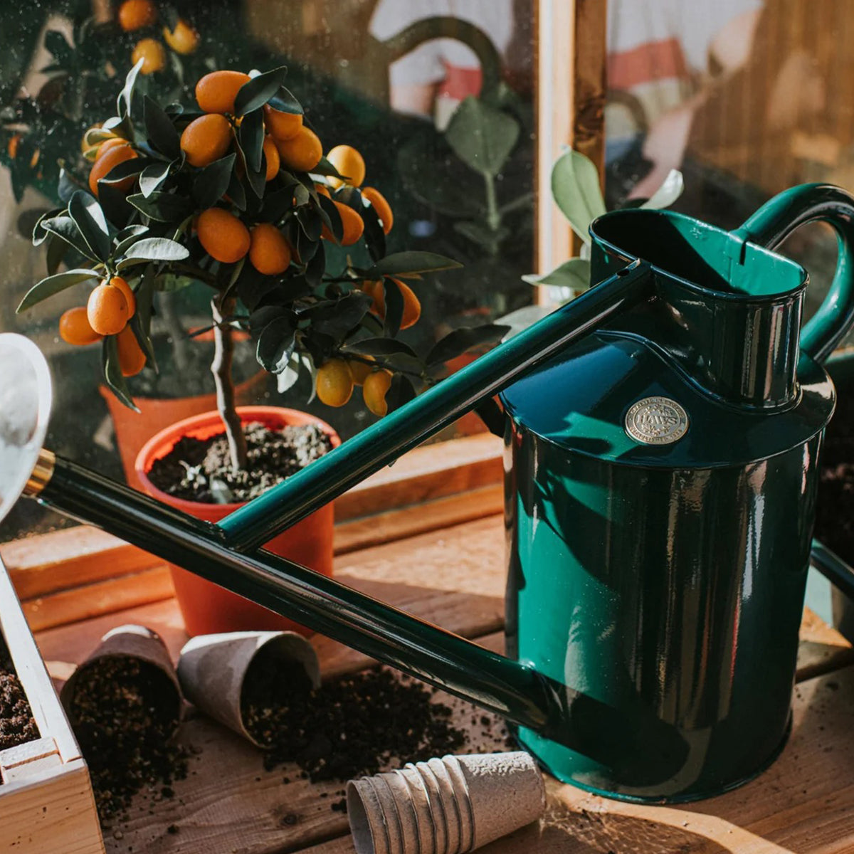 The Bearwood Brook Green 2 Gallon Metal Watering Can | Haws UK