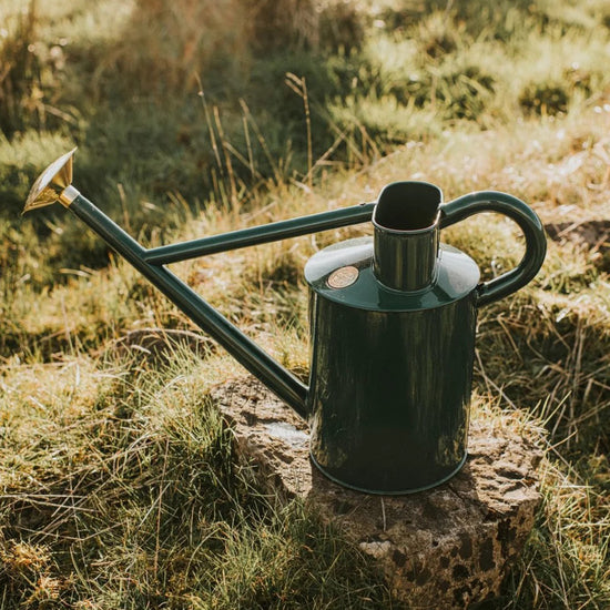 The Bearwood Brook Green 2 Gallon Metal Watering Can | Haws UK