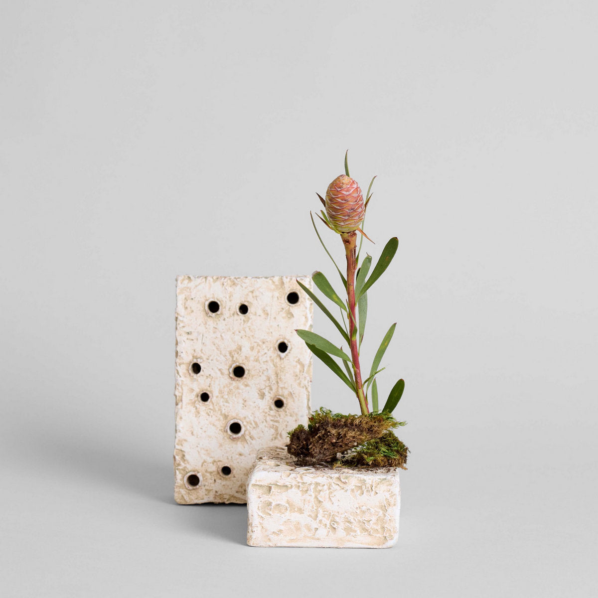 Ceramic Flower Frog | Handmade Ikebana Vessel | Bloomist
