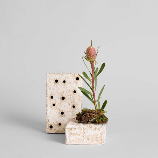 The Flower Frog: What It Is and How to Arrange With One