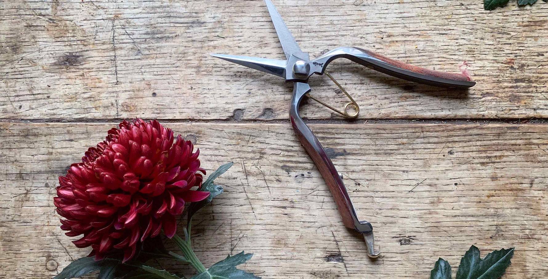 Bloomist | Make Nature Home