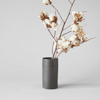 Cotton Stalk | Bloomist