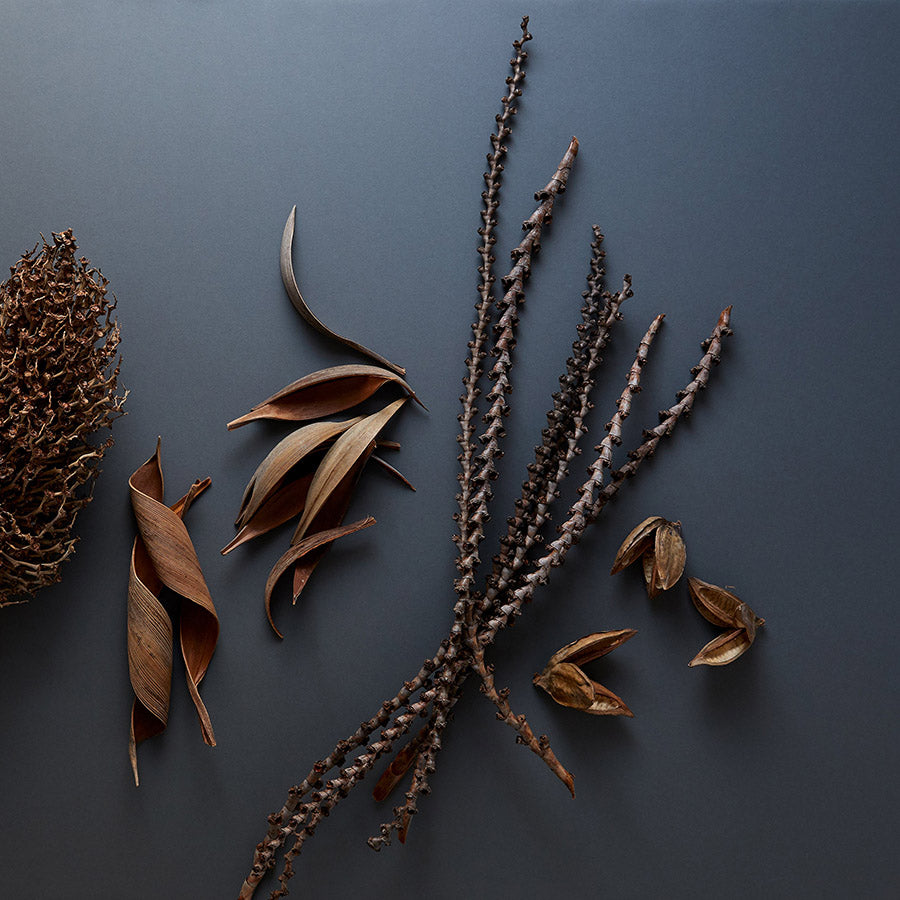 Natural Sora Pods