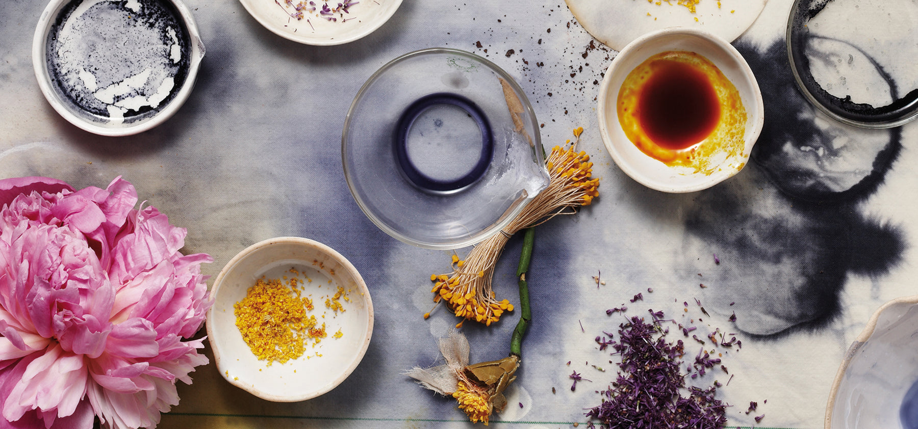 A Passion For Botanical Dyes